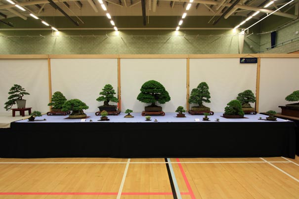 Bonsai World 2011 - Swindon & District Bonsai