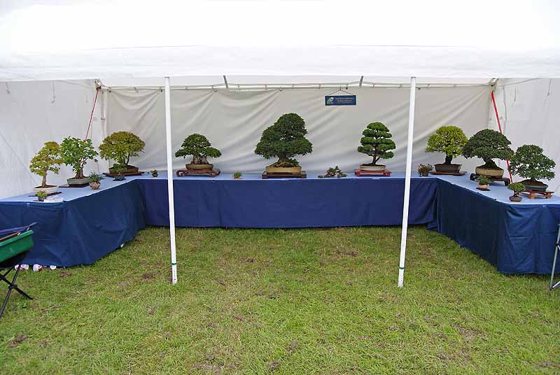 Wanborough Show 2013 - Swindon & District Bonsai