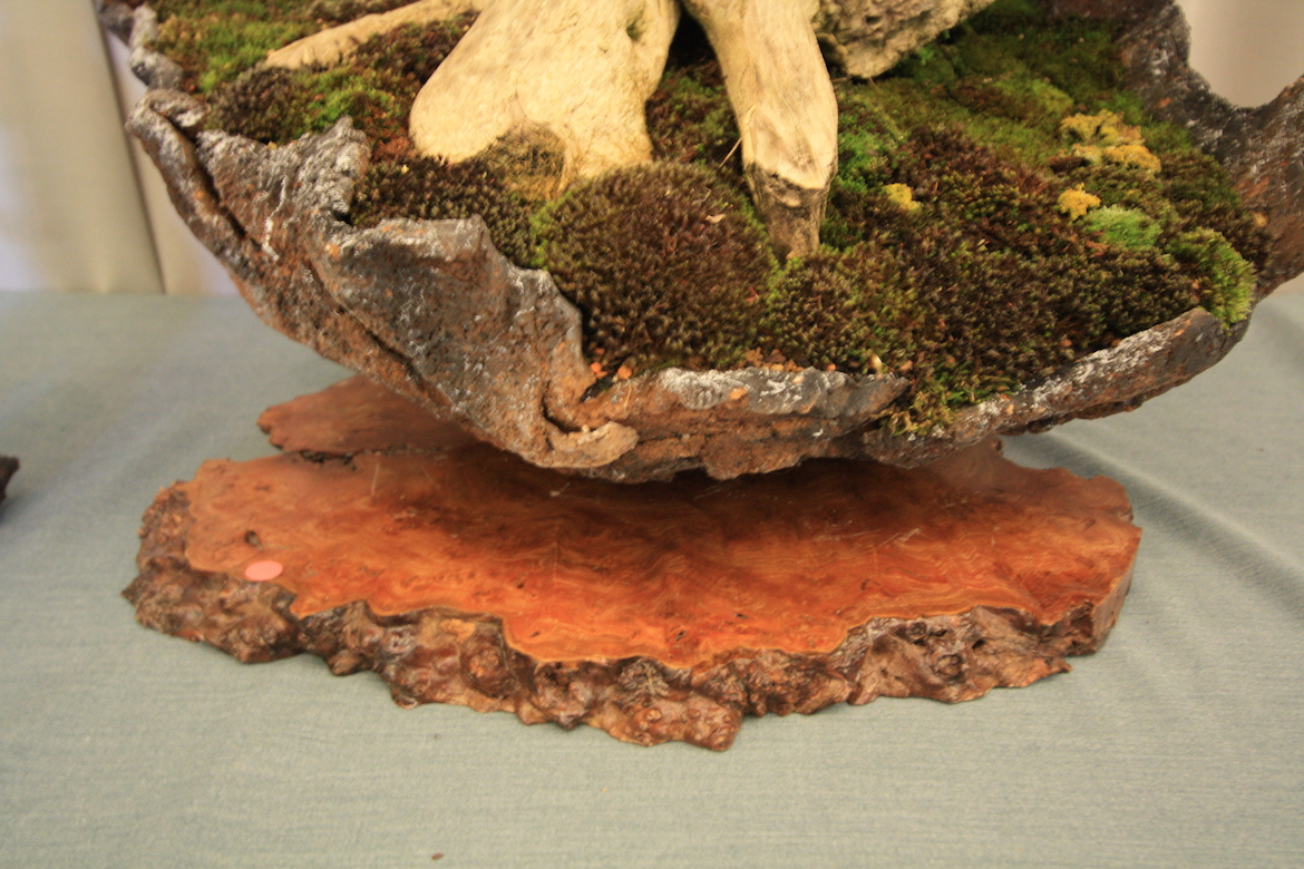 Bonsai Stands « Swindon & District Bonsai