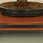 Bonsai Stands