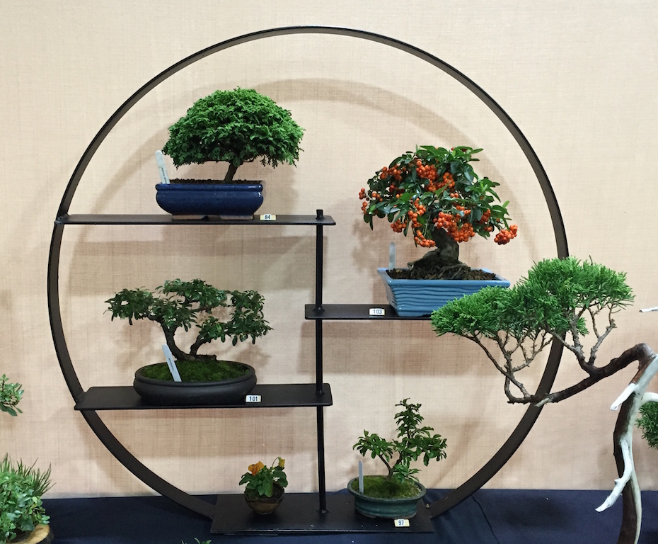 Shohin @ Heathrow Bonsai Show « Swindon & District Bonsai