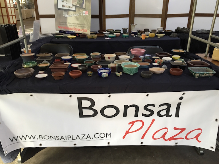 Bonsai plaza - Swindon & District Bonsai