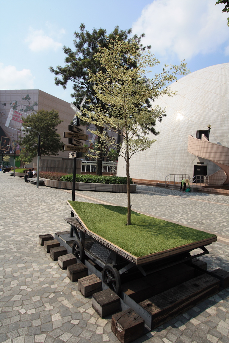 Hong Kong tree roots