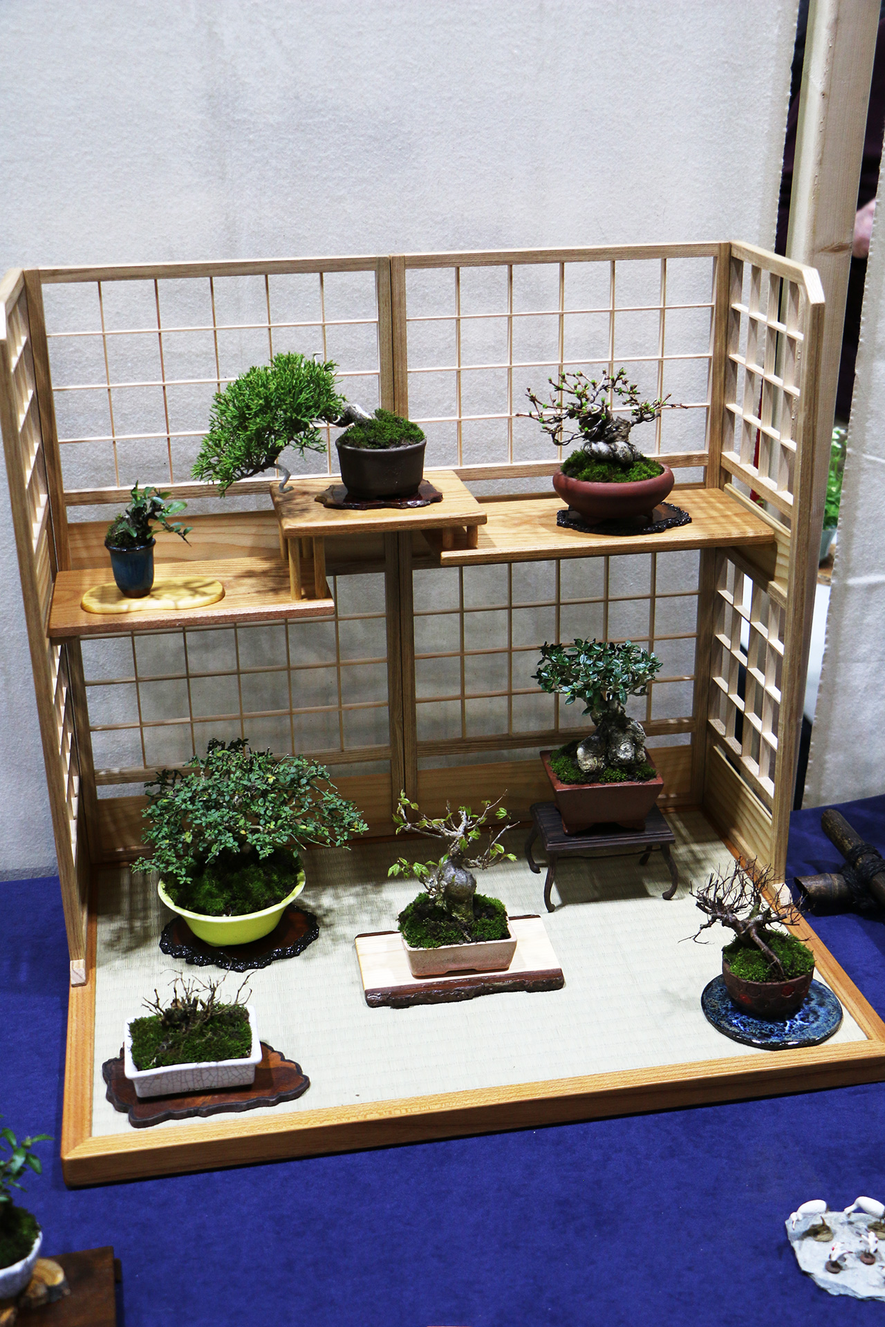 Les Storey mame display at our show