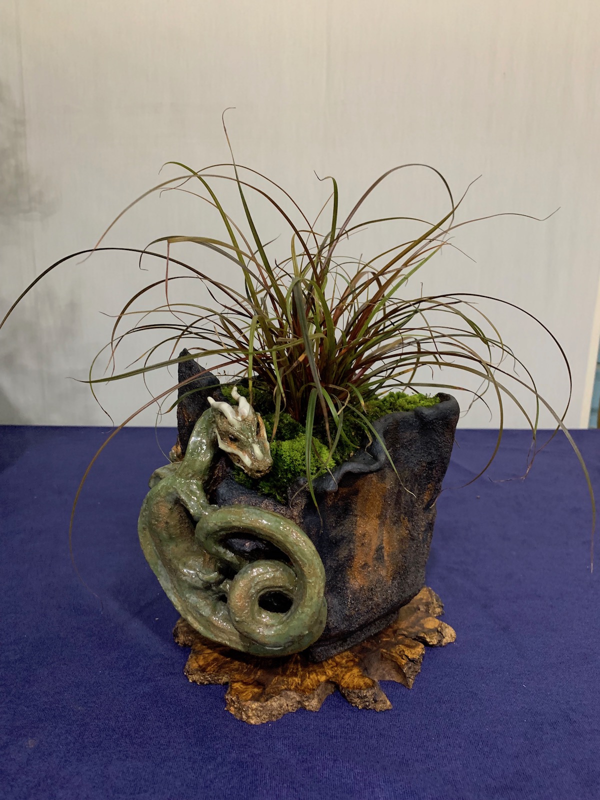 Tony Oswin club member display