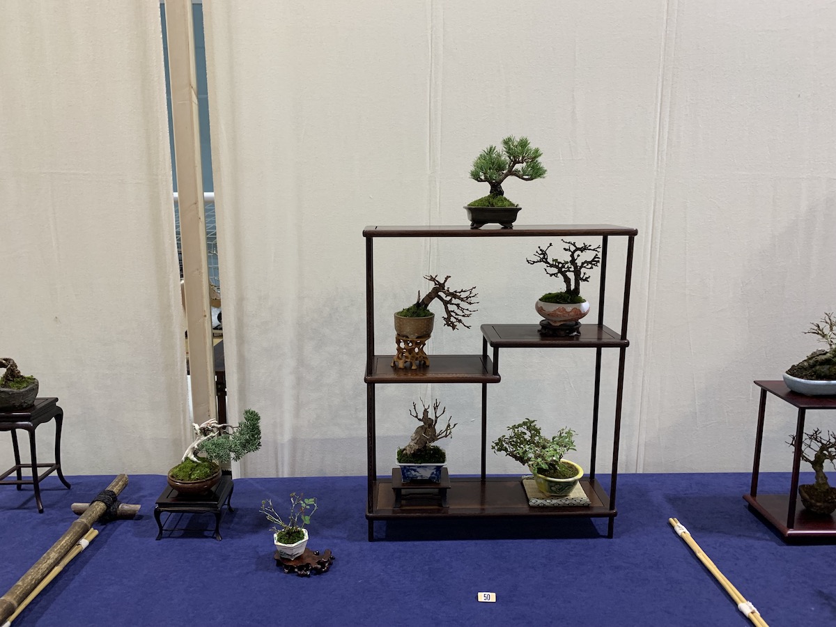 Gary Careford mame display at our show