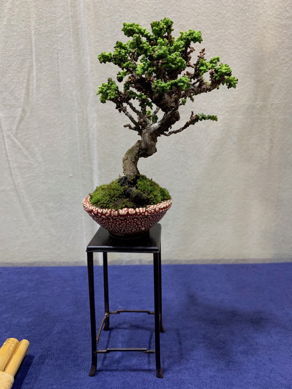 Les Storey mame display at our show