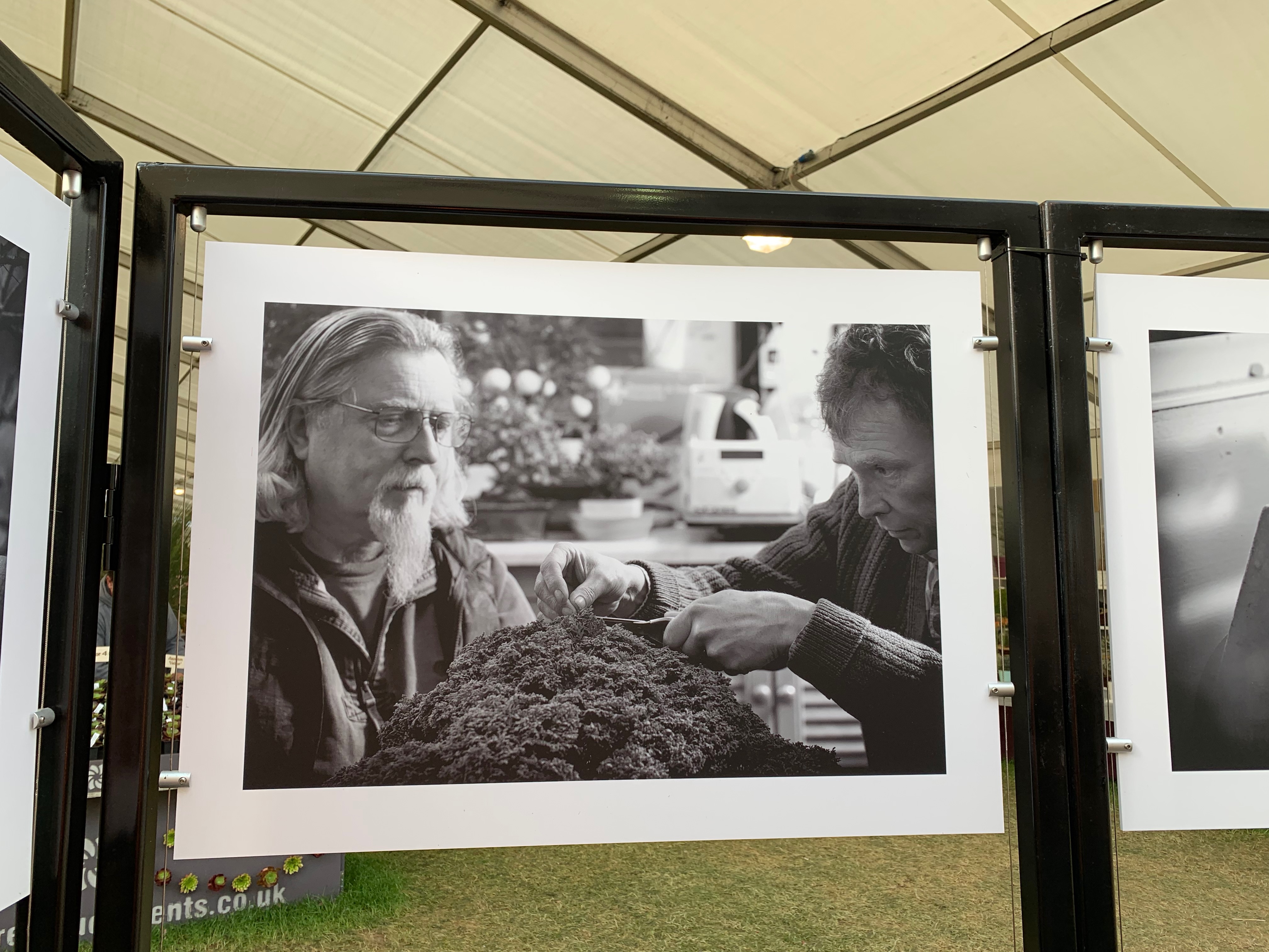 RHS Master Grower John Trott