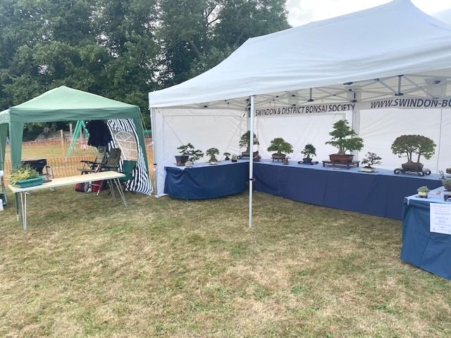 Wanborough Show update 2022 - Swindon & District Bonsai