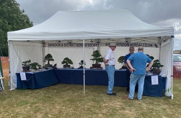Wanborough Show update 2022 - Swindon & District Bonsai