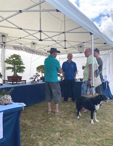 Wanborough Show update 2022 - Swindon & District Bonsai