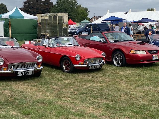 Wanborough Show update 2022 - Swindon & District Bonsai