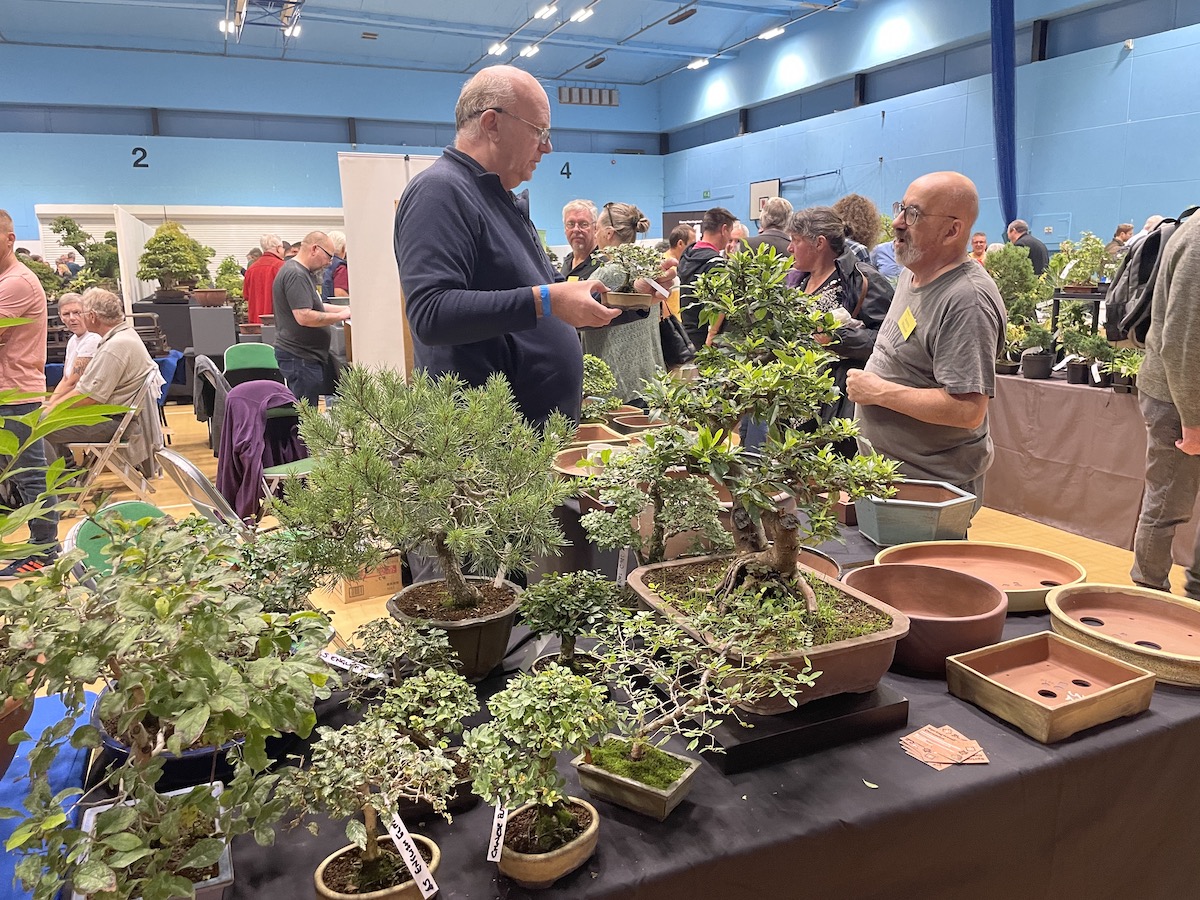 Traders @11th UKBA Heathrow Bonsai Show