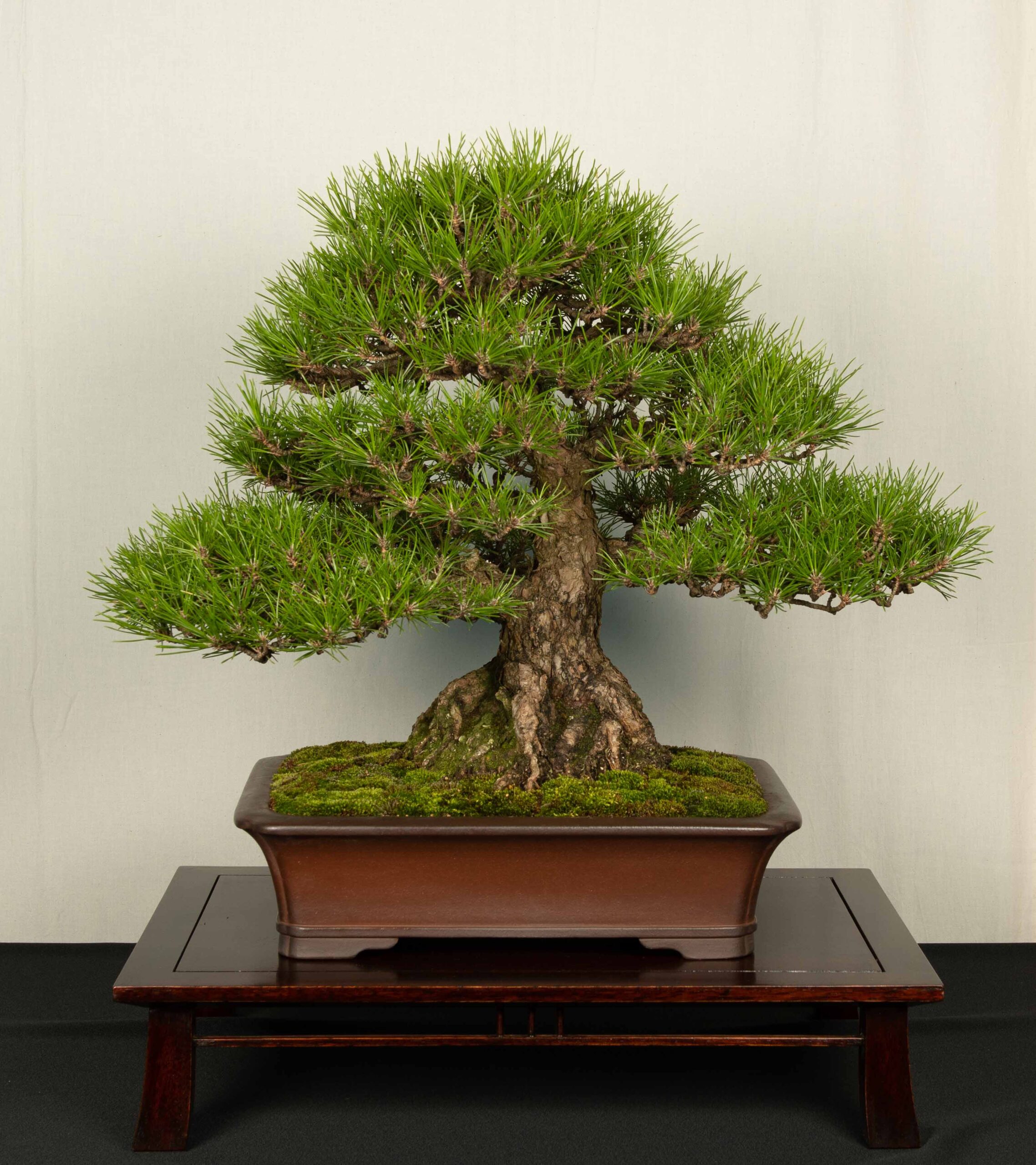 Merit Award Winners………