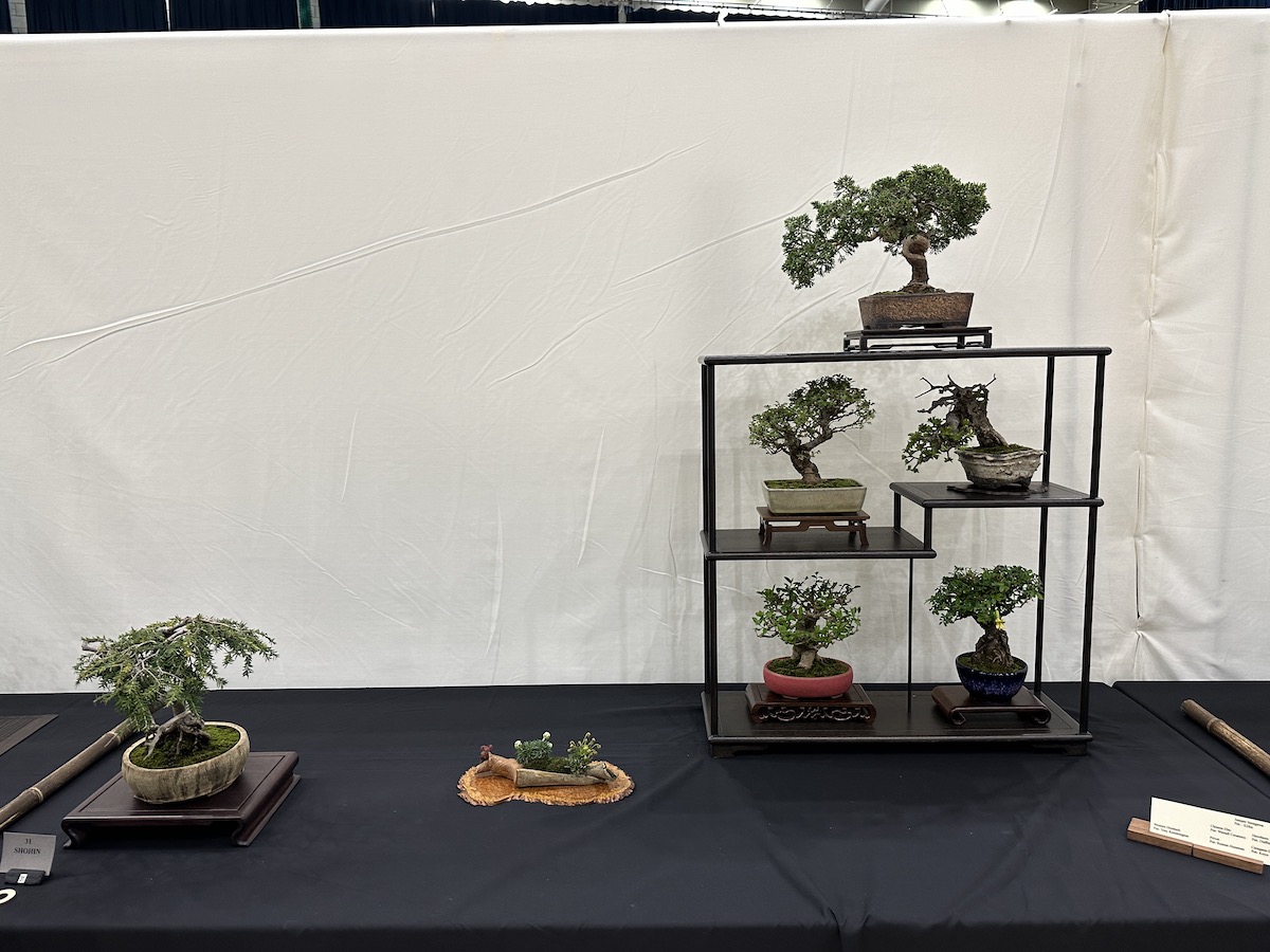 Winners at EXPO 2023