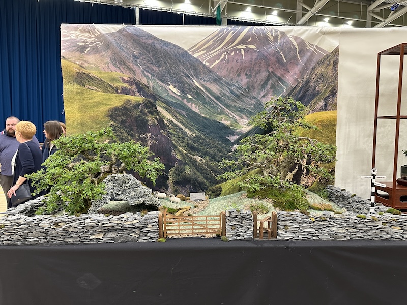 EXPO UKBA 5th Bonsai Show 2024 - Swindon & District Bonsai