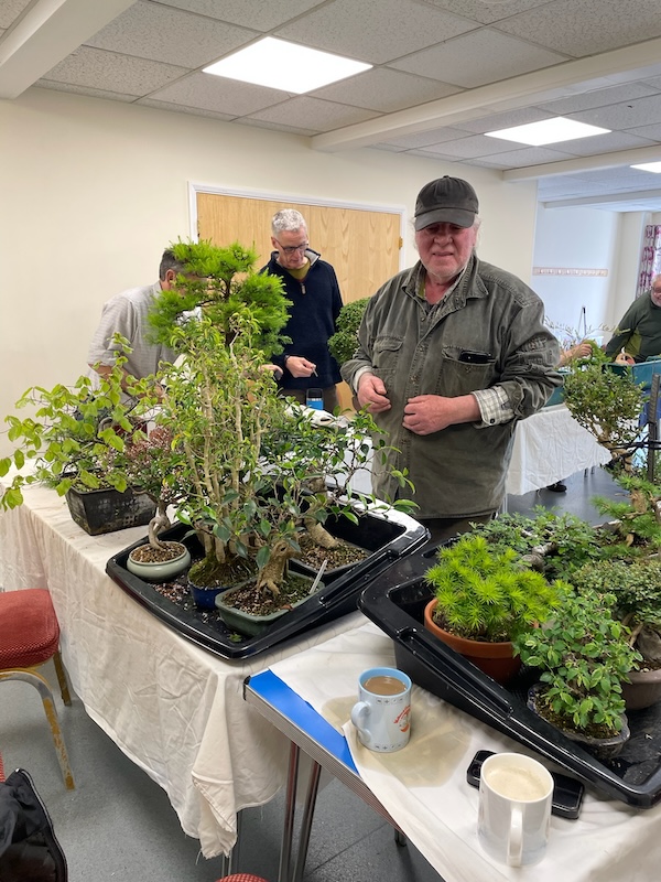 Chris Thomas workshop May 2024 - Swindon & District Bonsai