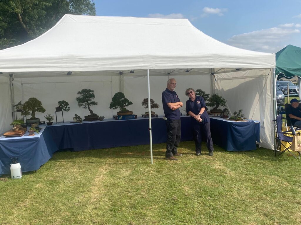 Wanborough Show 2024 - Swindon & District Bonsai