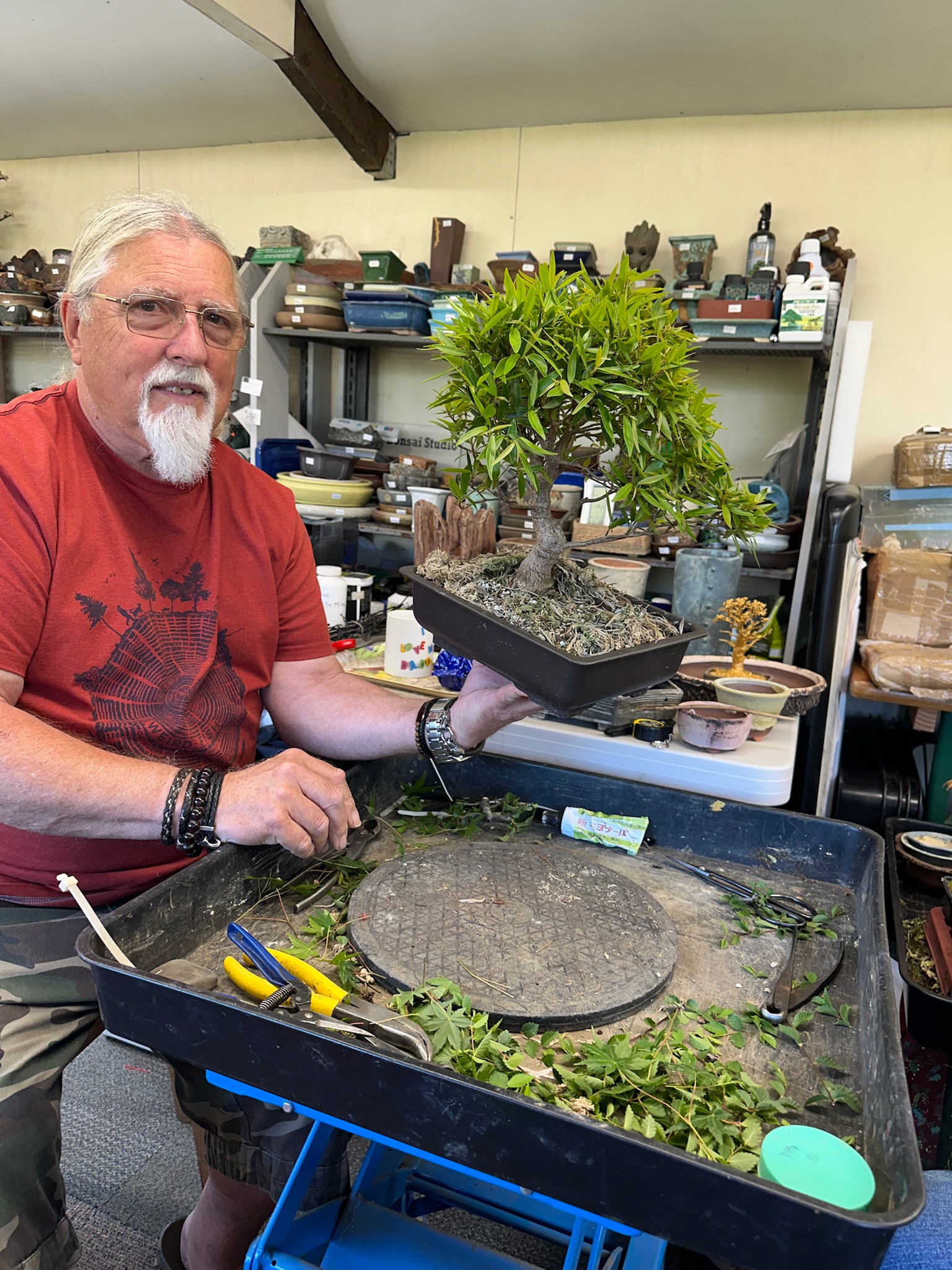John Trott workshop today - Swindon & District Bonsai