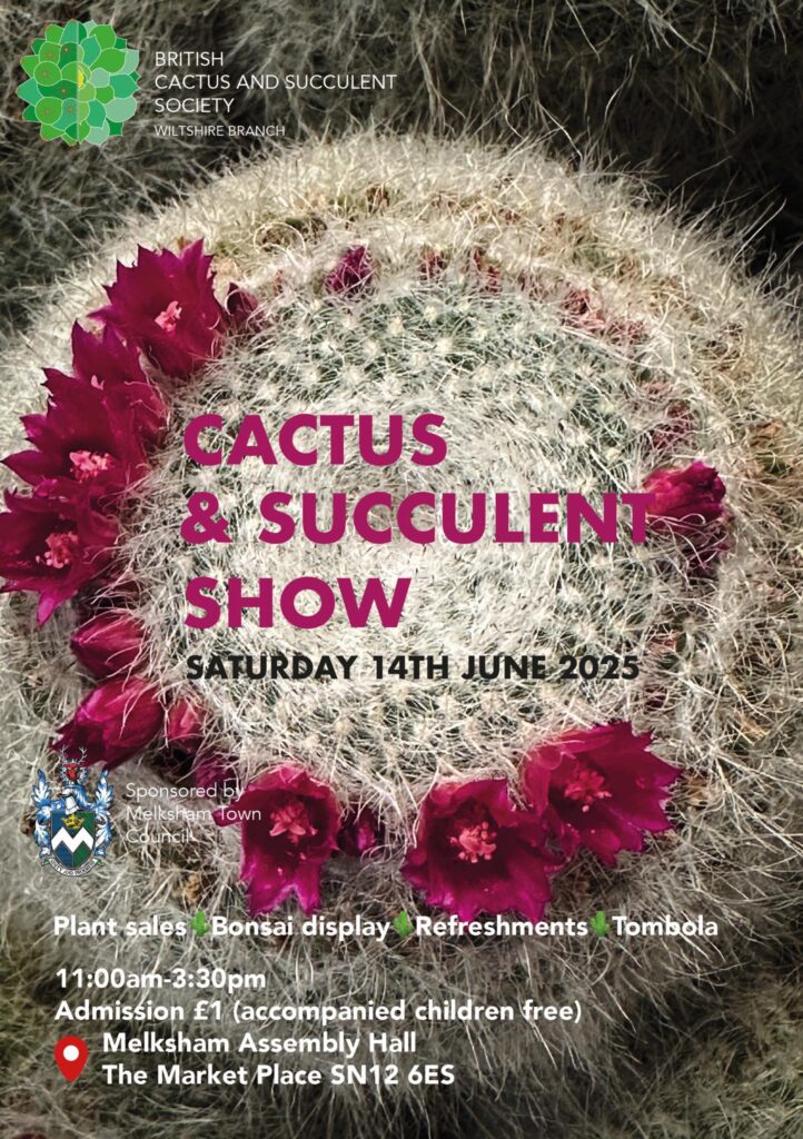 Cactus & Succulent Show - Swindon & District Bonsai