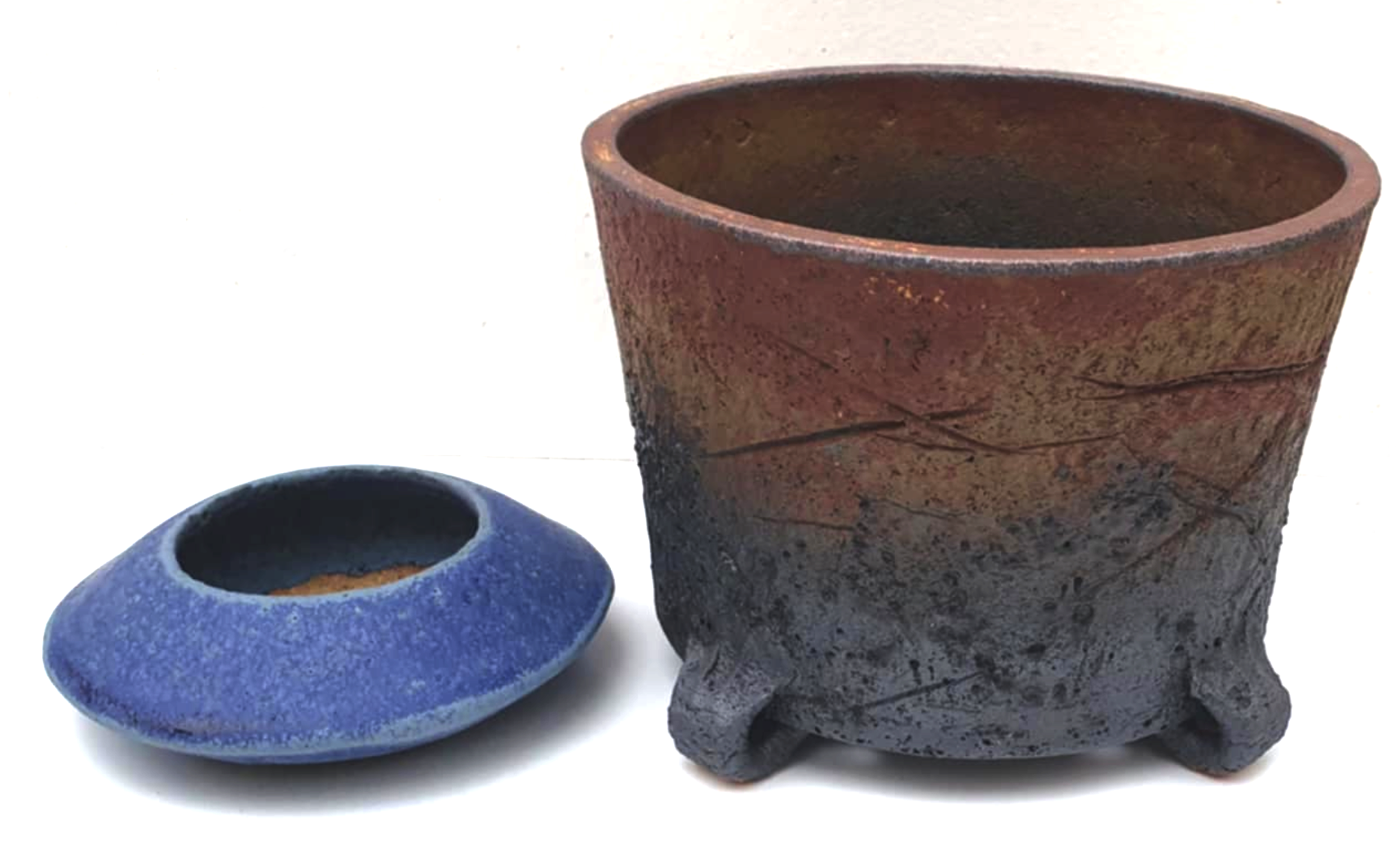 The First of the raffle prizes at the show 15th Feb 2026 - Swindon ...